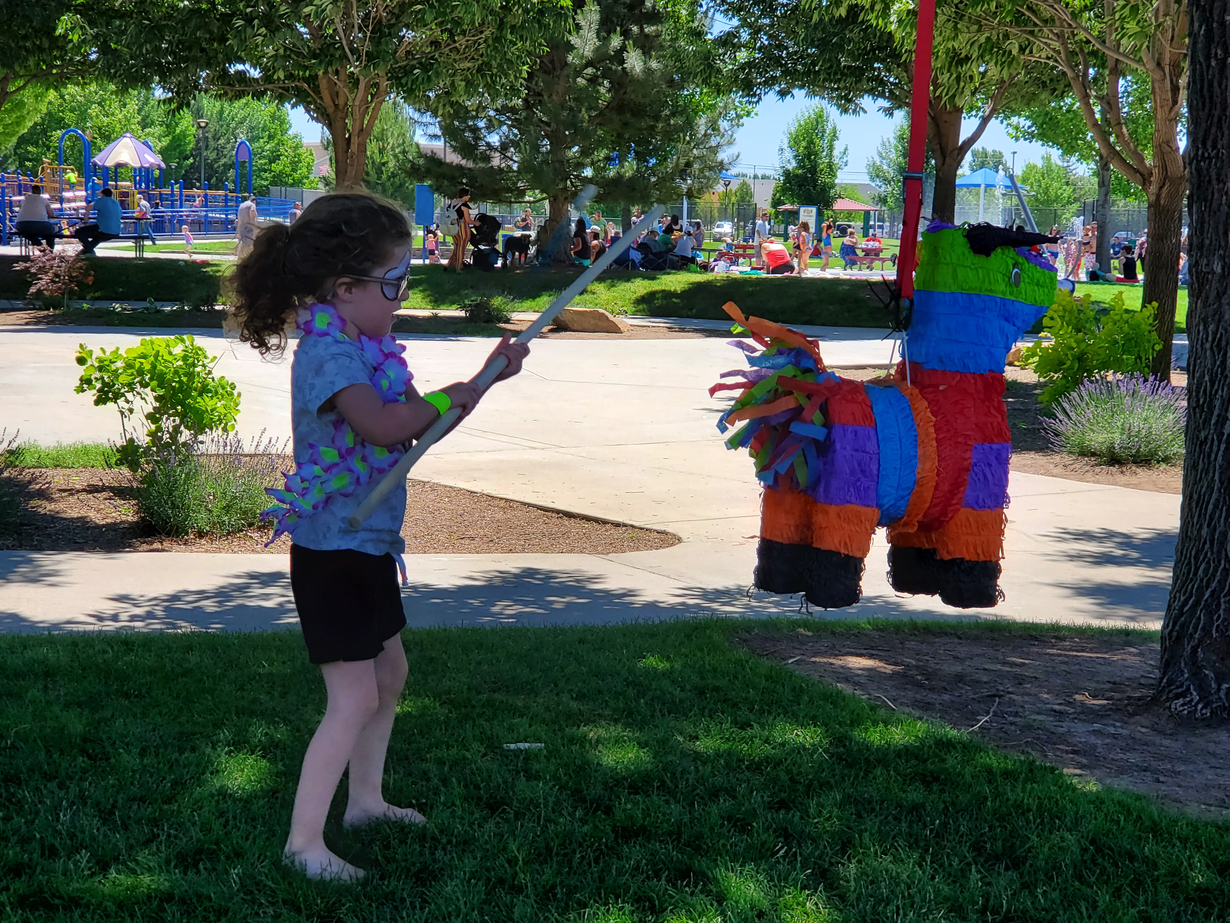 Photo Gallery - Stein Beer Distributor