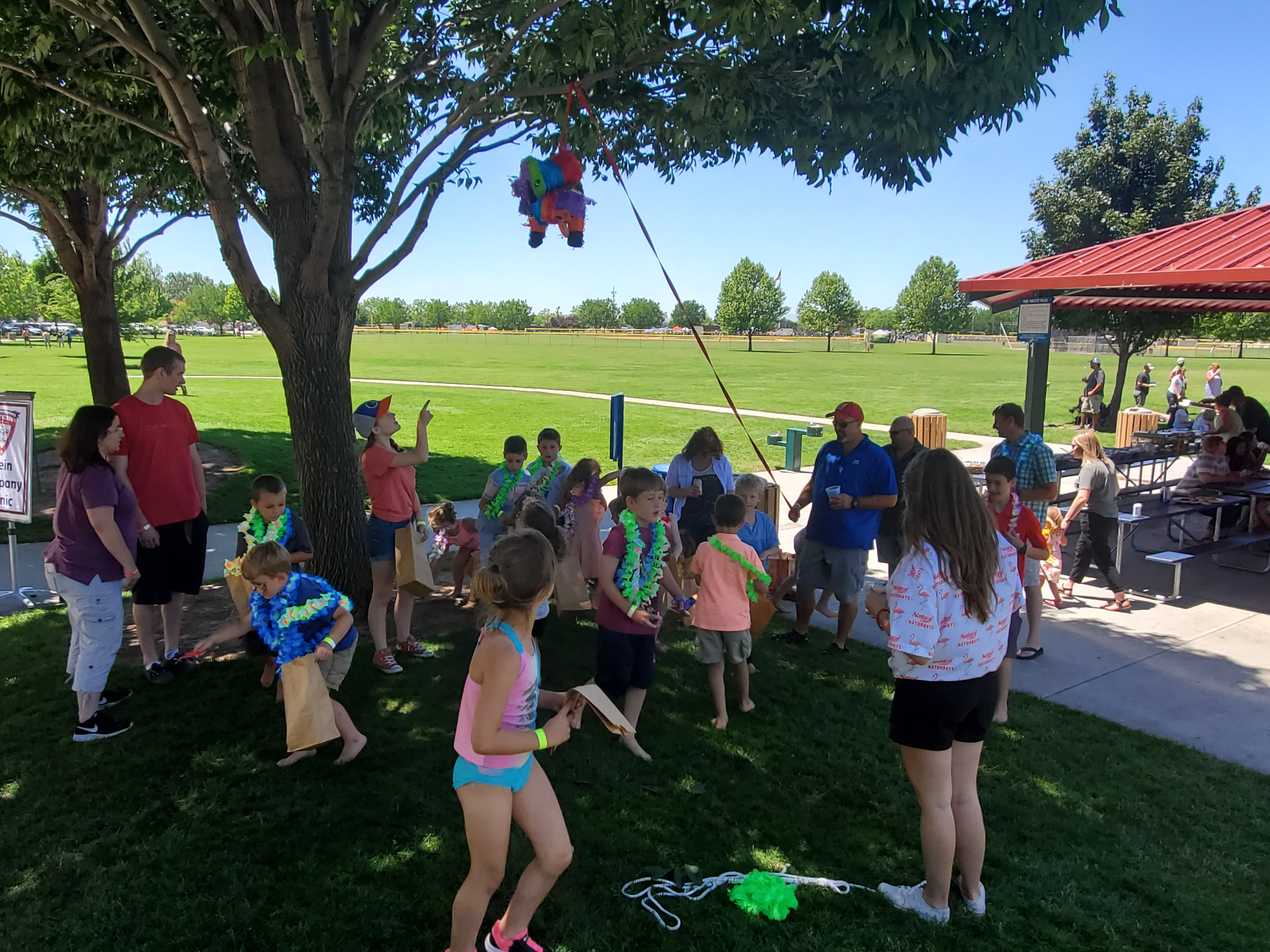 Photo Gallery - Stein Beer Distributor