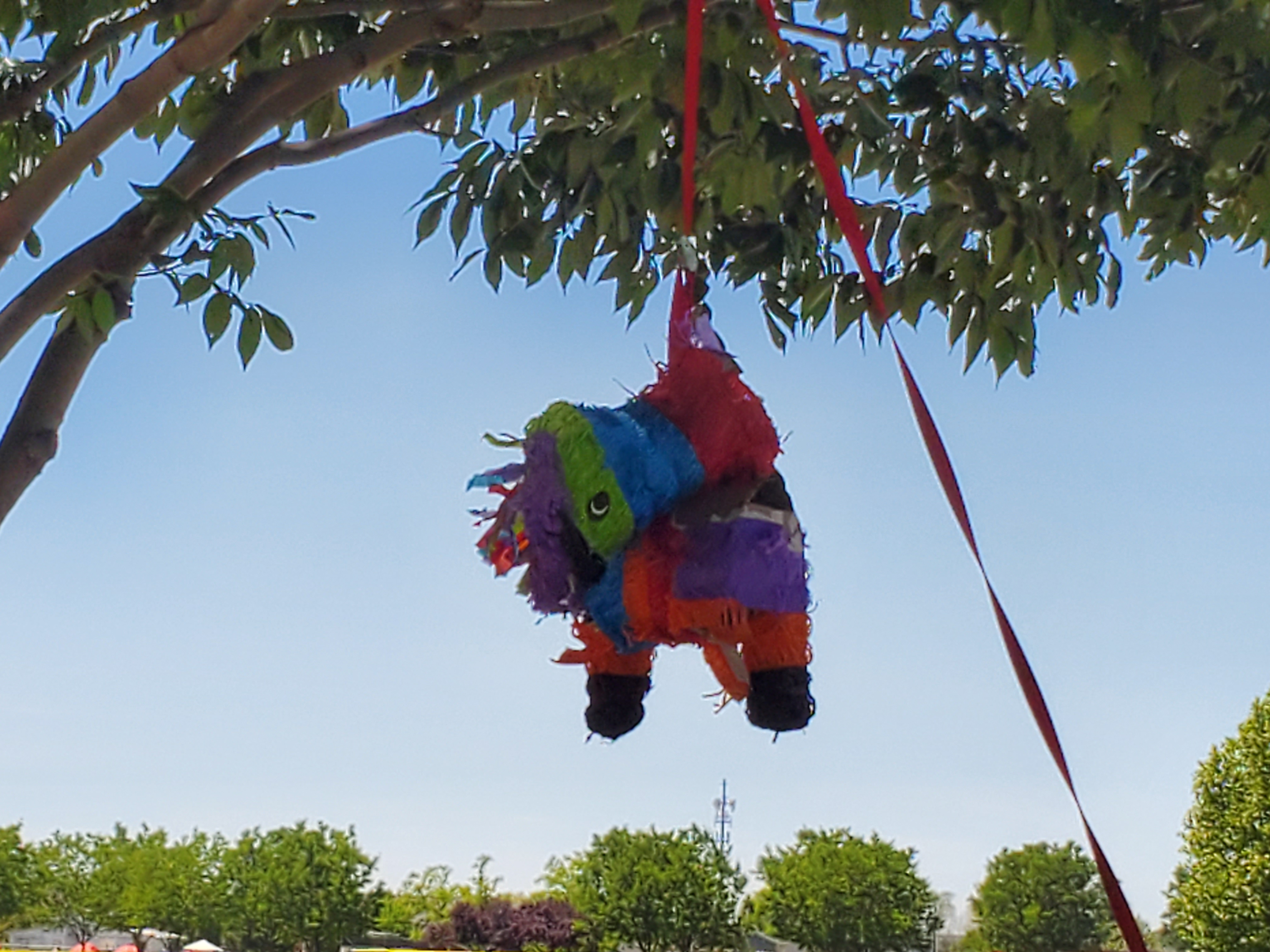 Photo Gallery - Stein Beer Distributor